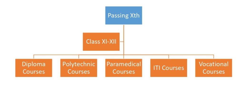 Career Options After Class 10th - CTS Academy